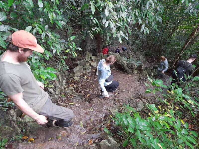 Ha Noi, Cat Ba, HaLong Bay Cruise, Ninh Binh Day Tour 4D/3N - Who Is This Tour Best Suited For?