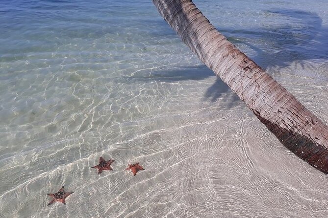 Half-day Motorbike Tour in Phu Quoc Island - Practical Considerations