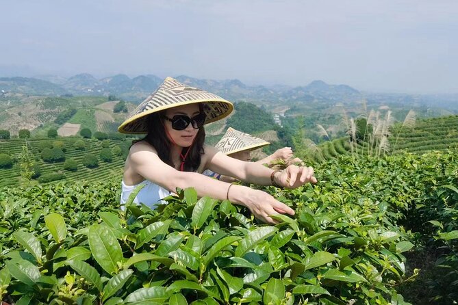 Half-day Tour: Largest Tea Plantation & Amazing Xianggong Hill - FAQs
