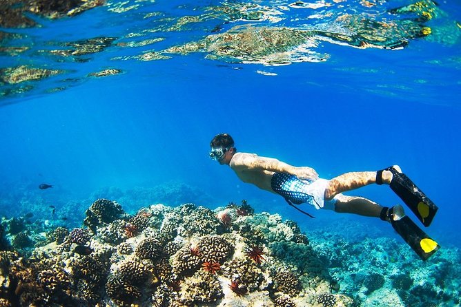 Half Day Tour Snorkeling in Nha Trang Bay Included Lunch - Final Impression: Who Should Book?