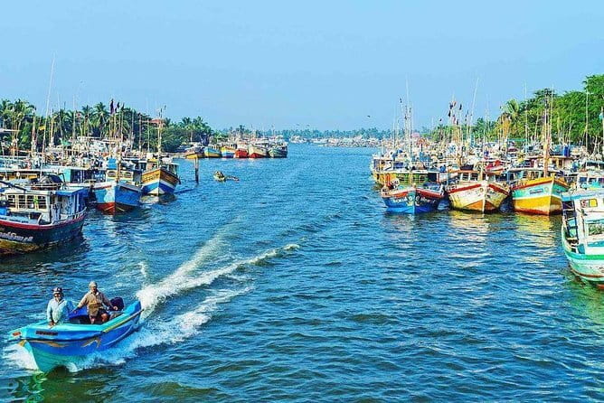 Half Day Tour to Muthurajawela, Lagoon, Dutch Canal and Mangroves - Who Should Consider This Tour?