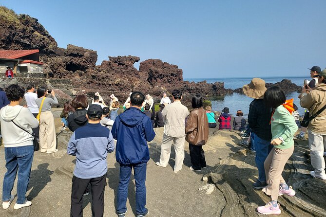 Half or Day Tour For Cruise customers arriving at Gangjeong Port - The Sum Up