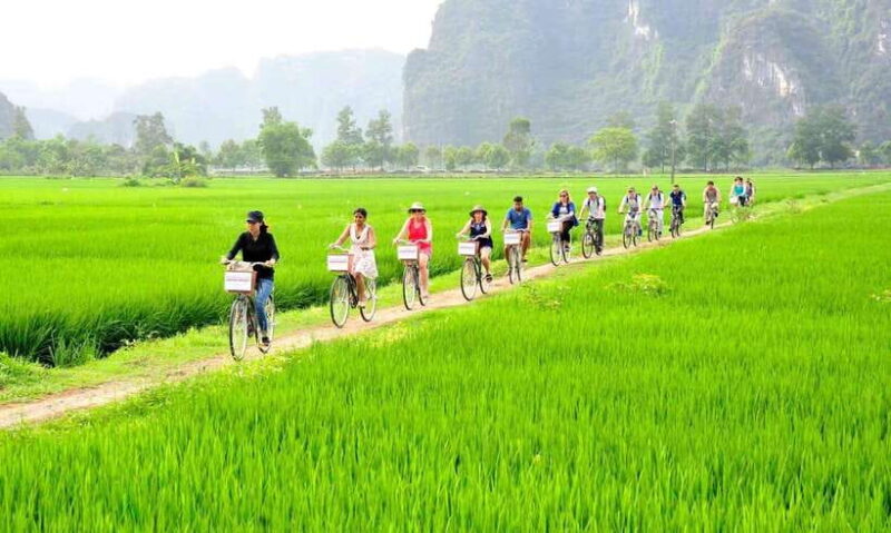 Hanoi: 2D 1N_ Ha long 1day & Ninh Binh full day and bungalow - The Experience: What Travelers Say