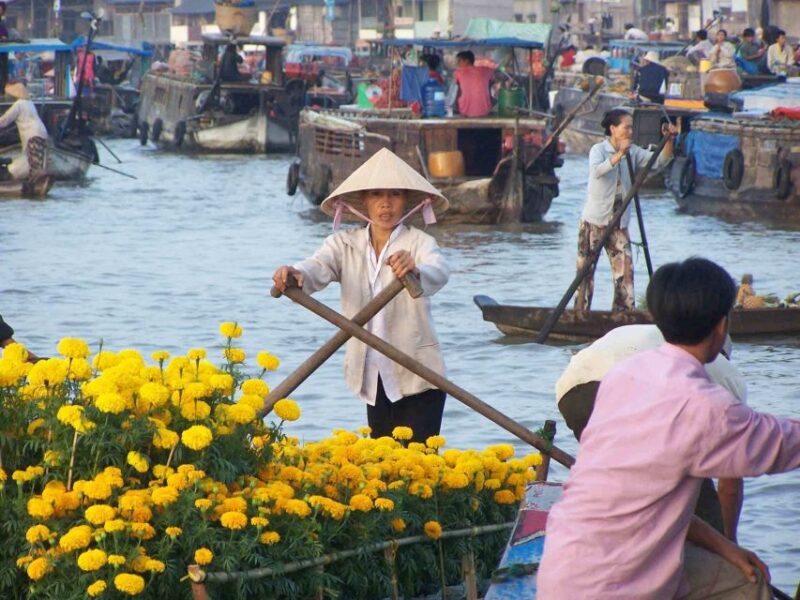 HCMC: Cai Rang Floating Market & Mekong Delta Private Tour - Who Is This Tour Best For?