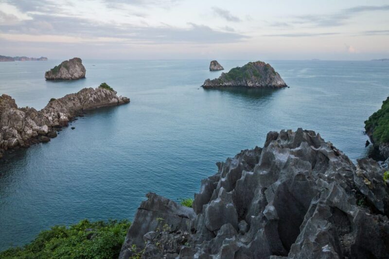 Hercules Luxury 5-star Day Cruise - The Experience on the Vessel and Activities