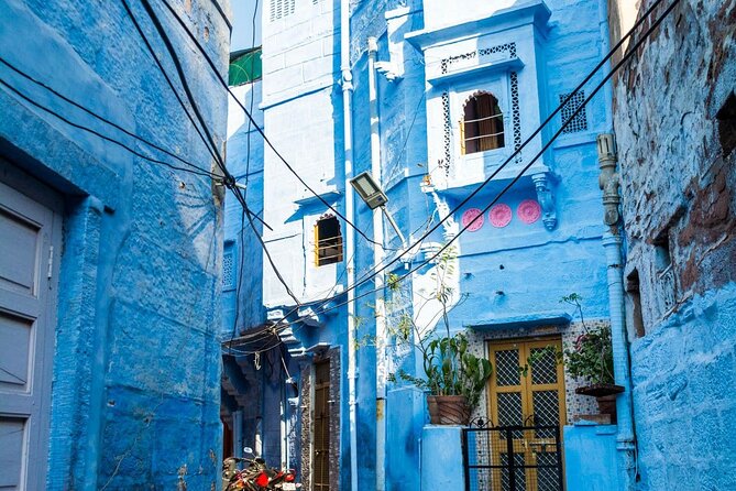 Heritage walk blue city - Who Will Love This Tour?