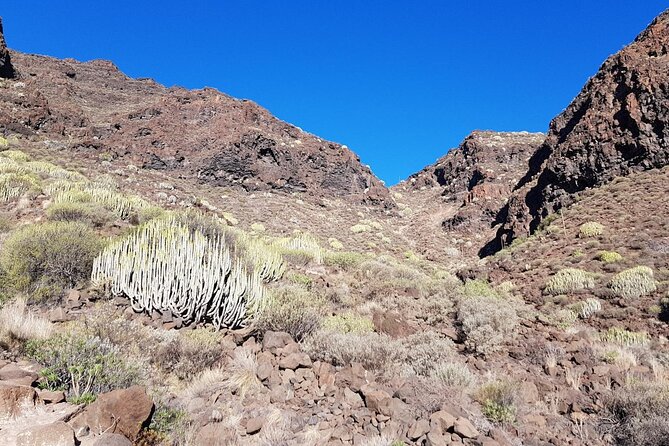 Hiking Route to Guguy or Guigui Beach - What the Reviews Say