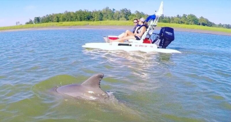 Hilton Head Island: 2-Hour Guided Creek Cat Tour - Real Traveler Experiences