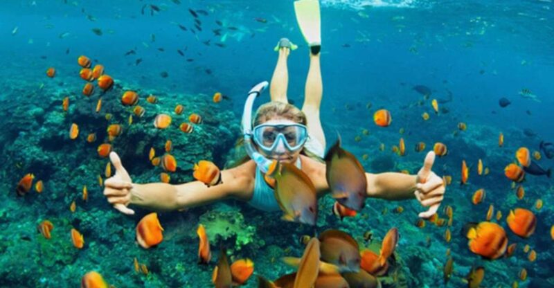 Hoi An: Cham Islands Snorkeling Trip by Speedboat with Lunch - Who Will Love This Tour?