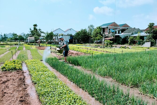 Hoi An Eco-Biking Tour - Final Thoughts: Is This Tour Right for You?
