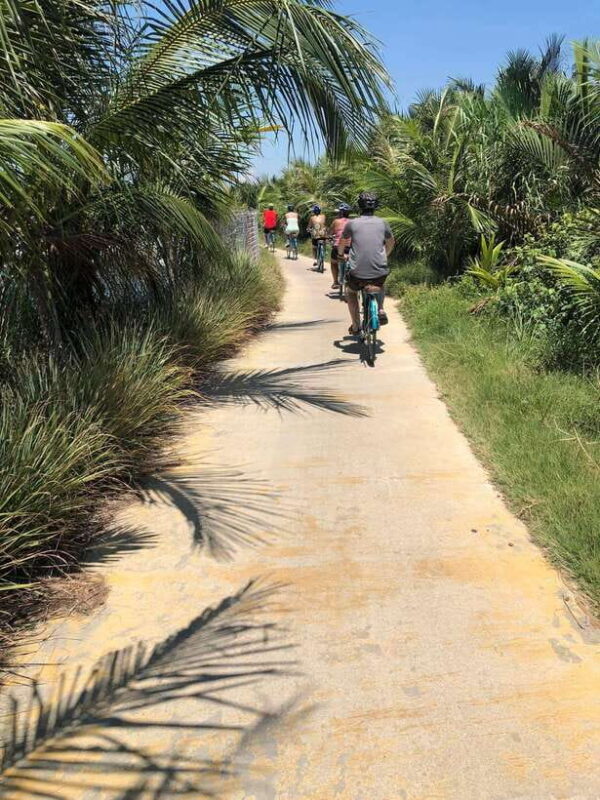 Hoi An: Half-Day My Son Sanctuary Bike Tour - Practicalities and Value