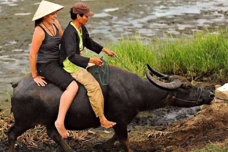 Hoi An Wet Rice Farming Tour-Basket Boat Tour Fishing-Lunch - The Price and What You’re Getting