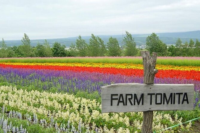 Hokkaido Highlights of Flower Blossom, Asahiyama Zoo& Blue pondAoi-ike! - Authentic Experiences and Authenticity