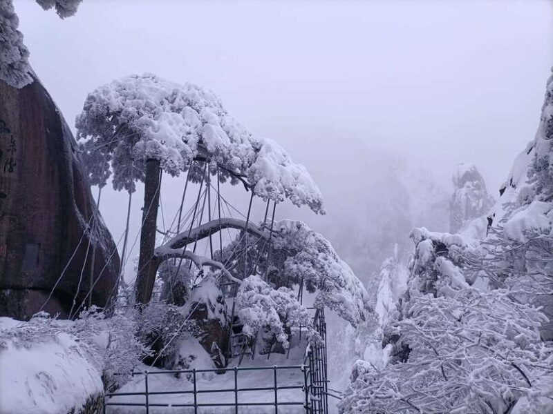 Huangshan: Mountain Top Day Trip with Cable Car and Pickup - The Scenic Highlights and Why They Matter