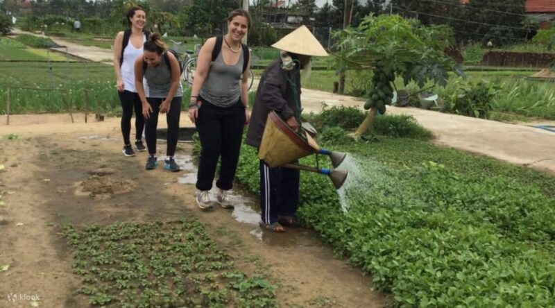 Hue Imperial City Tour from Da Nang/Hoi An via Hai Van Pass - Who Will Benefit Most from This Tour?