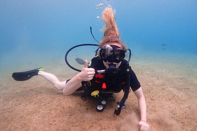 Introductory dive for non-certified divers - Final thoughts