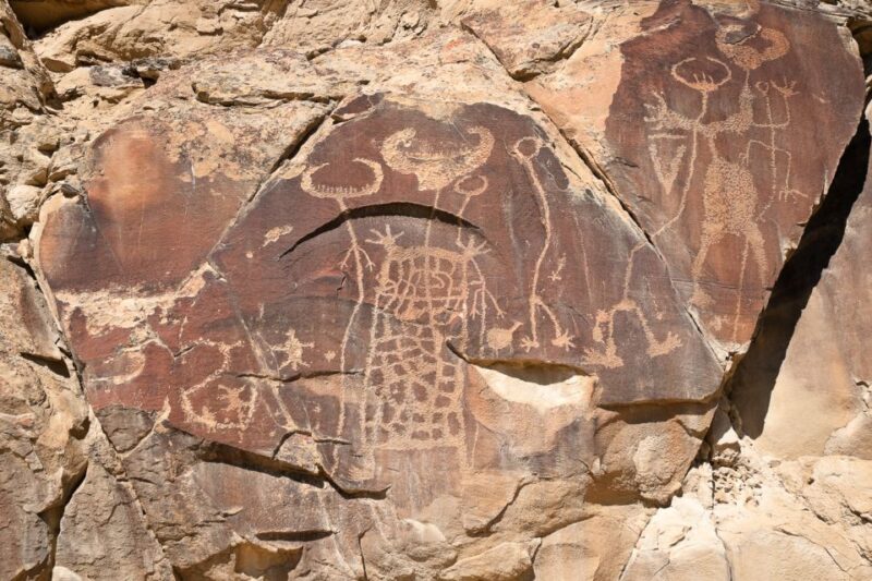 Jackson: Grand Teton, Bighorn Sheep, and Petroglyphs Tour - Logistics and Practical Details