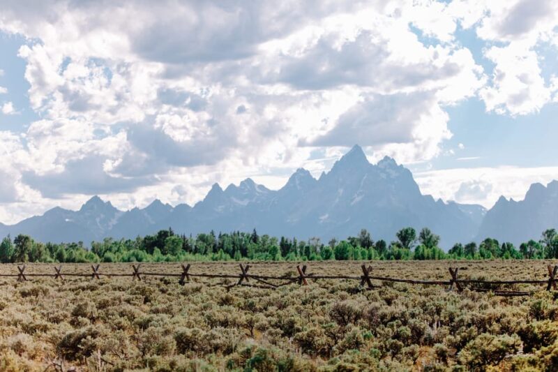 Jackson: Grand Teton Sunrise Safari with Naturalist Guide - Frequently Asked Questions