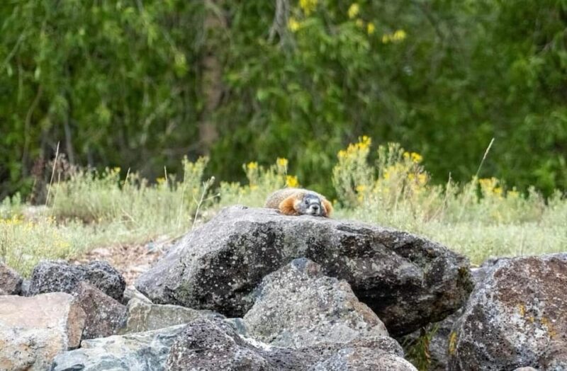 Jackson Hole: Snake River Scenic Float Tour with Chairs - The Value for Money