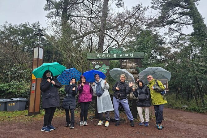 Jeju Cruise Ship gangjung Port private tour for 1 to 13 3 tours - Value for Money