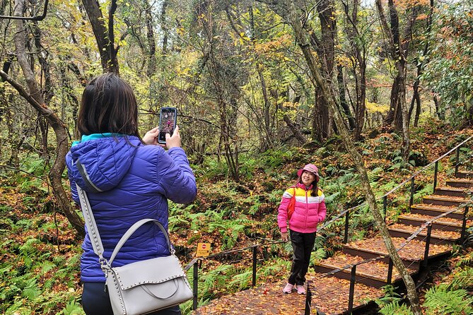 Jeju private UNESCO Site Day tour - East of Jeju Island - Practical Details and Tips