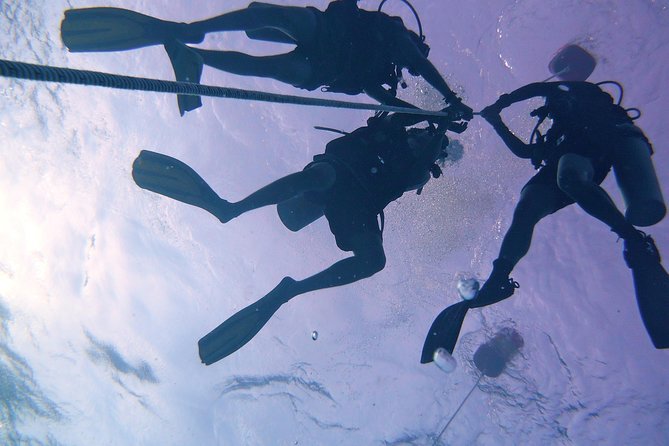Join us for a RAID Try Dive in Kota Kinabalu - Practical Considerations