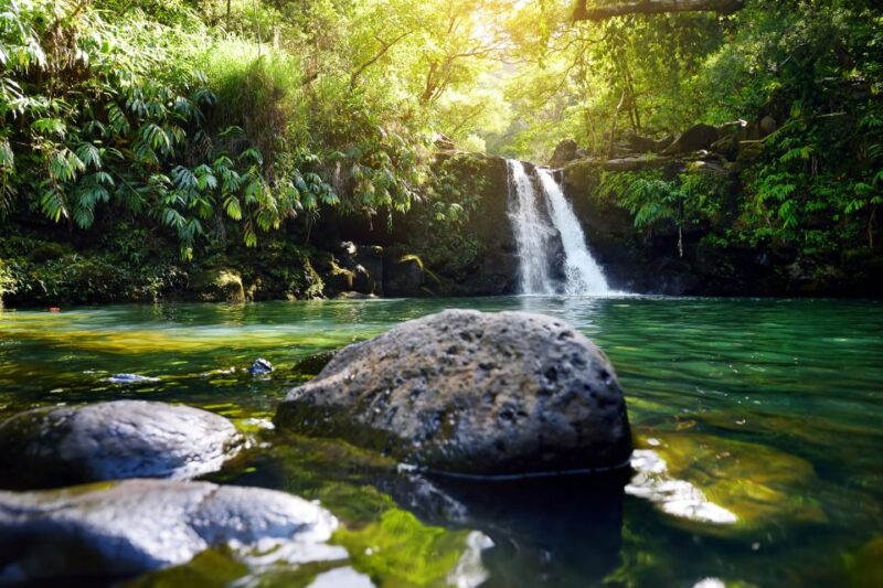 Kahului: Guided Rainforest and Waterfall Walk - The Sum Up: Is It Worth It?