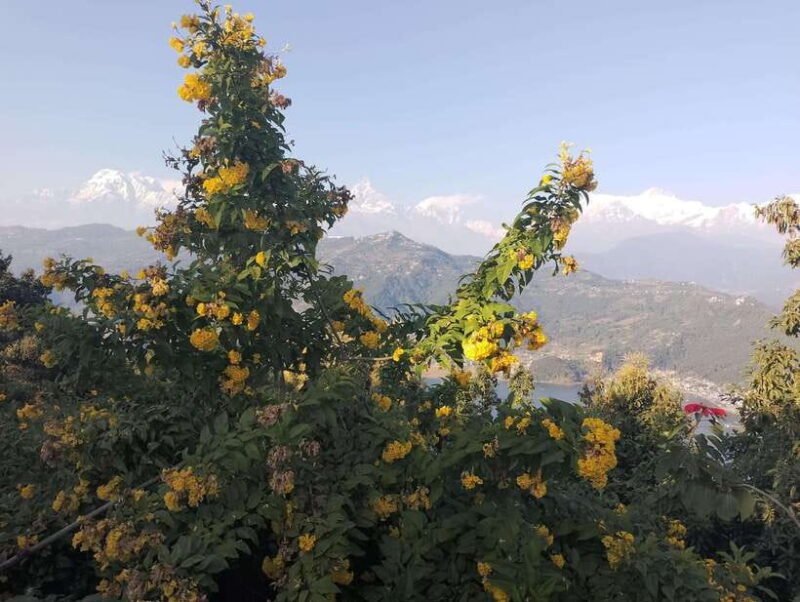Kathmandu: 10-Day Nepal Eco-Culture Tour with Accommodation - Who Is This Tour Best For?