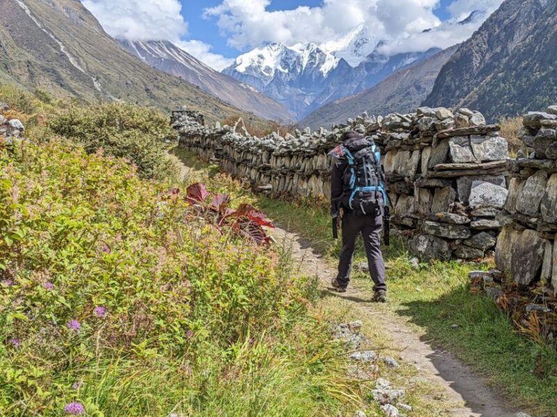 Kathmandu: 6-Day Limitless Langtang Trek - The Challenges and Considerations