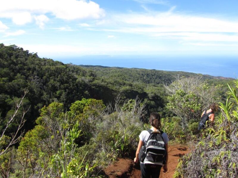 Kauai: Full-Day Kauai Adventure - FAQs