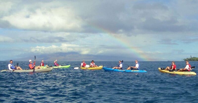 Kayak and Snorkel West Maui at Olowalu - The Value of This Tour