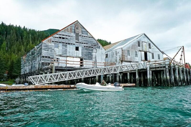 Ketchikan: Scenic Drive & George Inlet Fjords Zodiac Cruise - Why This Tour Offers Great Value