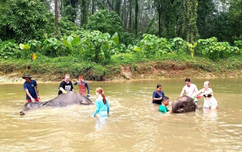 Khao Lak: Elephant Sanctuary Guided Tour - What Makes This Tour Stand Out?