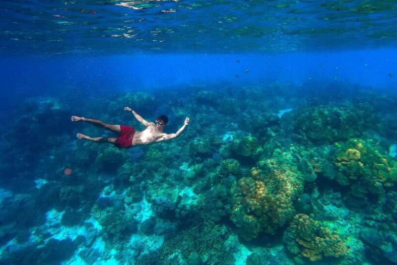 Khao Lak: Surin Islands Snorkeling Tour with Moken Village - Lunch and Beach Relaxation — Rest and Recharge