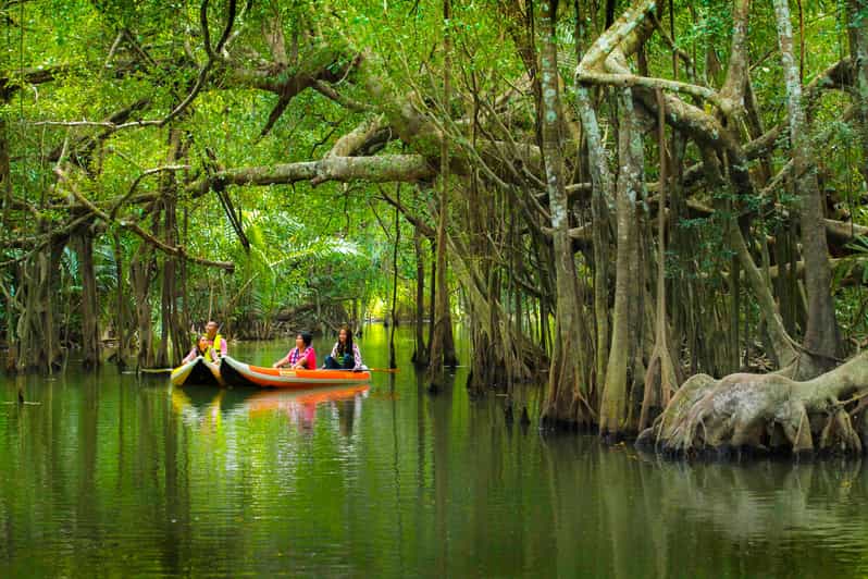 Khao Lak's Little Amazon: Canoe, Trek & Waterfall Day Trip - A Closer Look at the Reviews