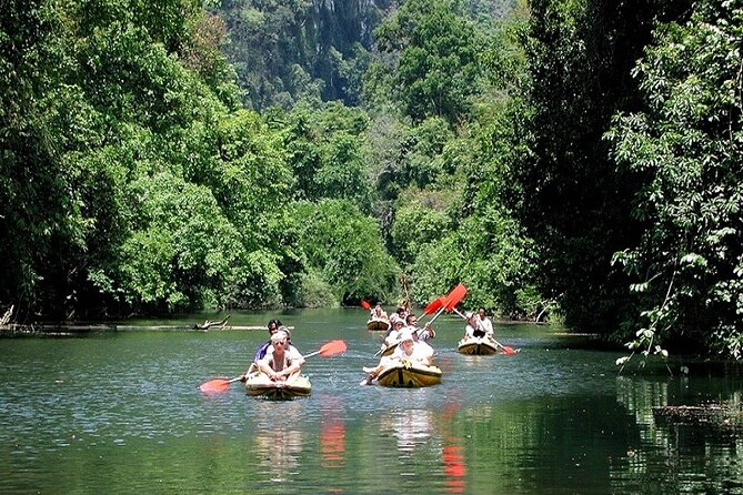 Khaosok Jungle Exploration from Khaolak - Stop 5: Mountain and Flora Views