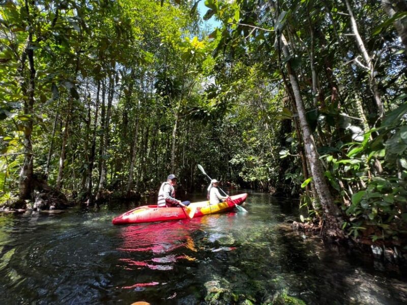 Klong Rud Kayaking with Hotel Transfer - How This Tour Compares to Similar Experiences