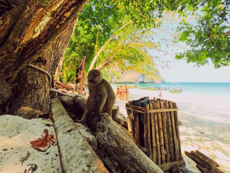 Ko Lanta: Phi Phi Day Trip by Speed Boat - Detailed Breakdown of the Itinerary