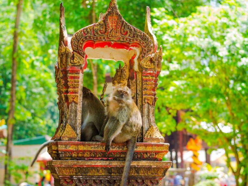 Ko Lanta: Private Tiger Cave, Hot Spring & Emerald Pool Tour - What to Bring and Tips for the Day