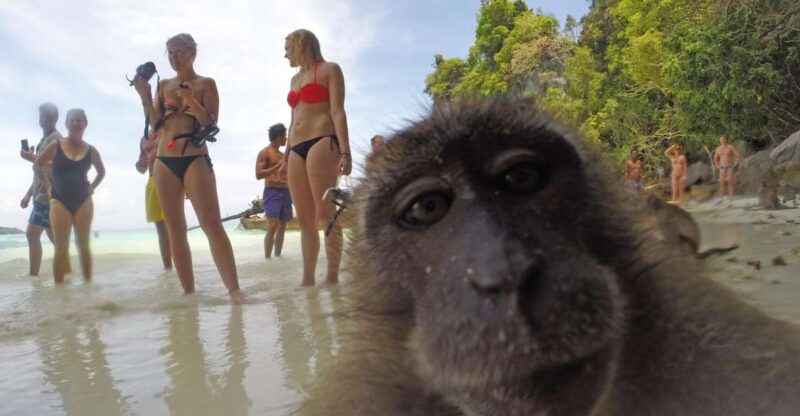 Koh Phi Phi: Captain Bob's Private Booze Cruise - Practical Tips for the Trip