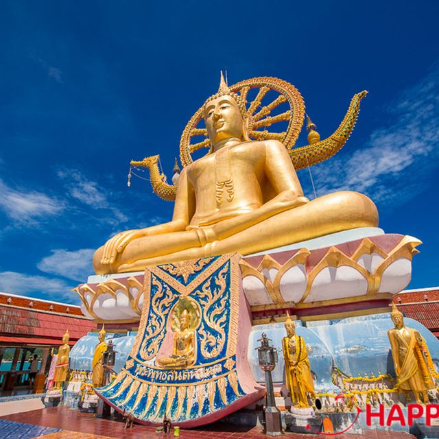 Koh Samui: Half-Day Island Highlights Tour with Hotel Pickup - Transportation and Group Size