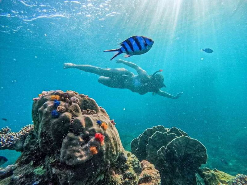 Koh Tao: Koh Nangyuan & Hidden Bays Snorkeling Tour w/ Lunch - Snorkeling in the Crystal-Clear Waters
