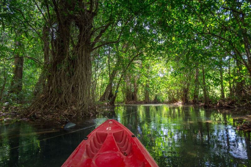 Krabi: Crystal Lagoon Kayaking and Horseback Riding Day Trip - The Practicalities: What to Know Before Booking