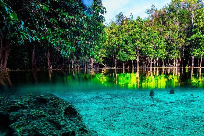 Krabi Jungle Tour with ATV Riding - What Travelers Are Saying