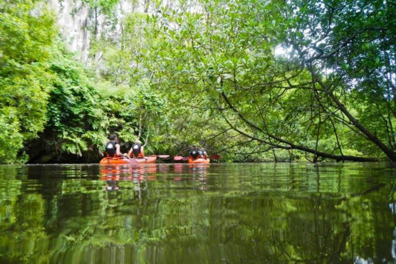 Krabi: Private Sea Kayaking in Ao Thalane and Hong Island - Sunset and Barbecue: A Perfect End