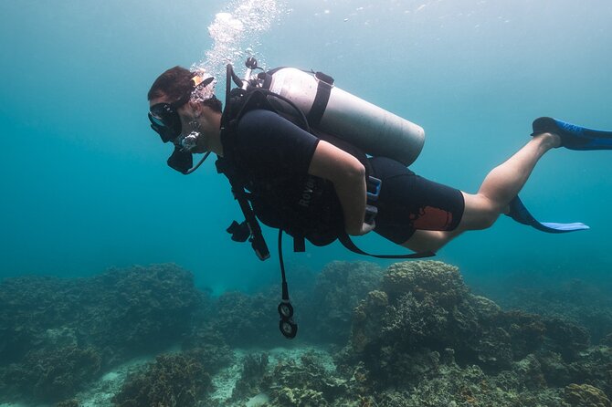 La Bombona Diving Koh Tao Try Dive - Authentic Feedback from Travelers