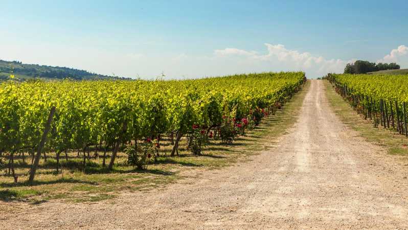 La Sala del Torriano Wine Experience - FAQ