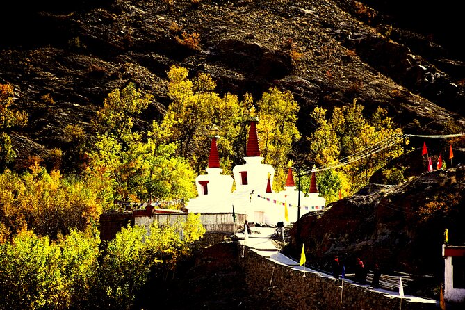 Ladakh Sham Valley Trek - The Guide and Support