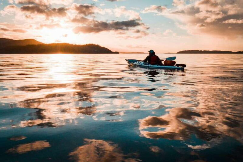 Lan Ha Bay: Bioluminescent Plankton Kayak Tour with Dinner - Frequently Asked Questions