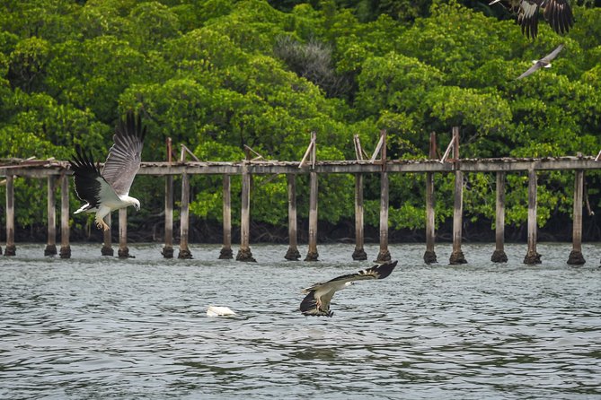 Langkawi Half Day Island Hoping Tour- Sharing basis - What Travelers Say: The Pros and Cons